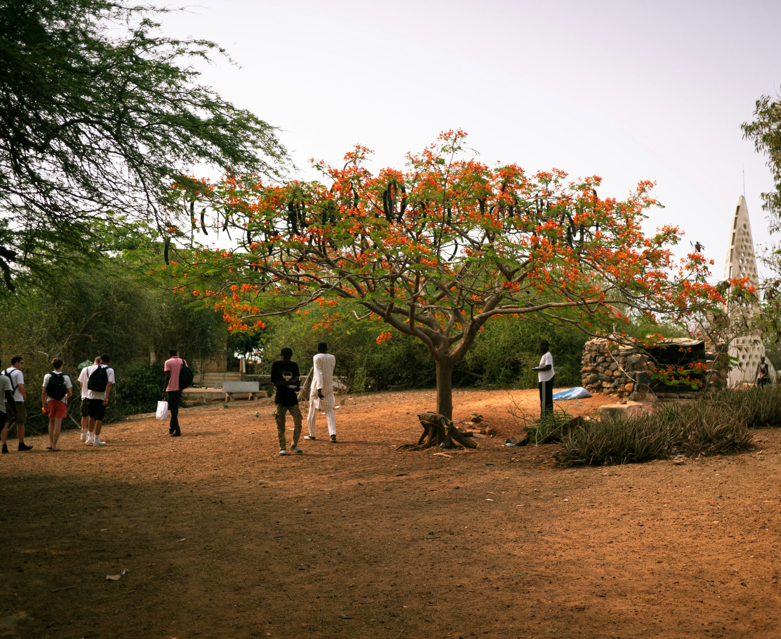 Sénégal | Evaluation d’une grappe de projets dans le champ de la ...